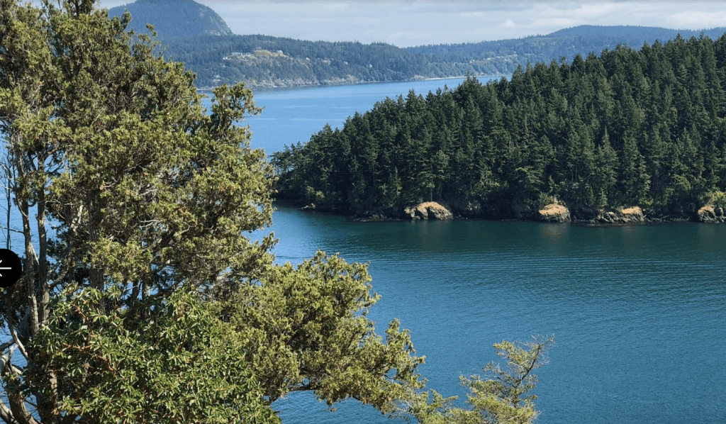 LineTime – Fostering Communication On Guemes Island